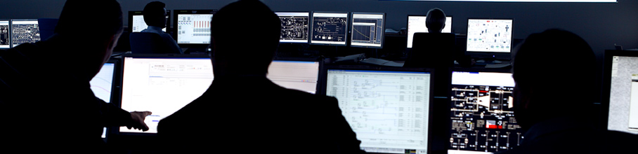 Training Simulators - Dynamic Process Simulation Software for Nuclear ...