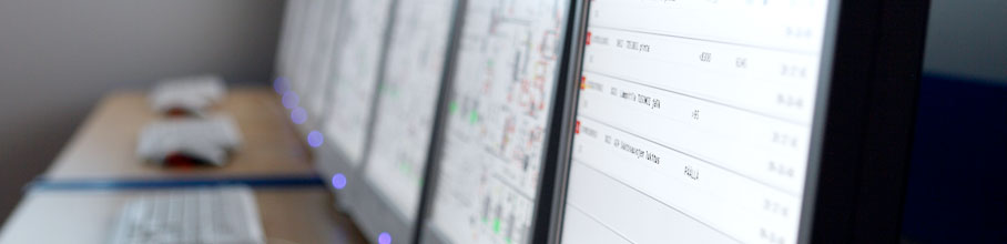 Nuclear references in detail - Dynamic Process Simulation Software for ...